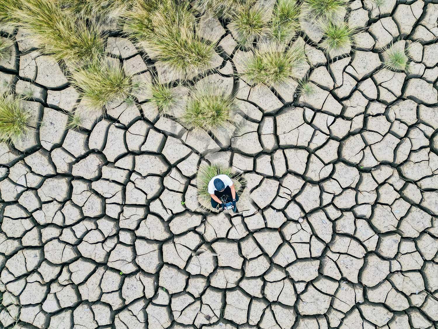 ¿Adaptarse o morir? Los desafíos que enfrentan los animales que ...