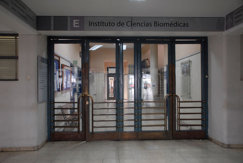 Instituto de Ciencias Biomédicas (ICBM) - Facultad de Medicina ...